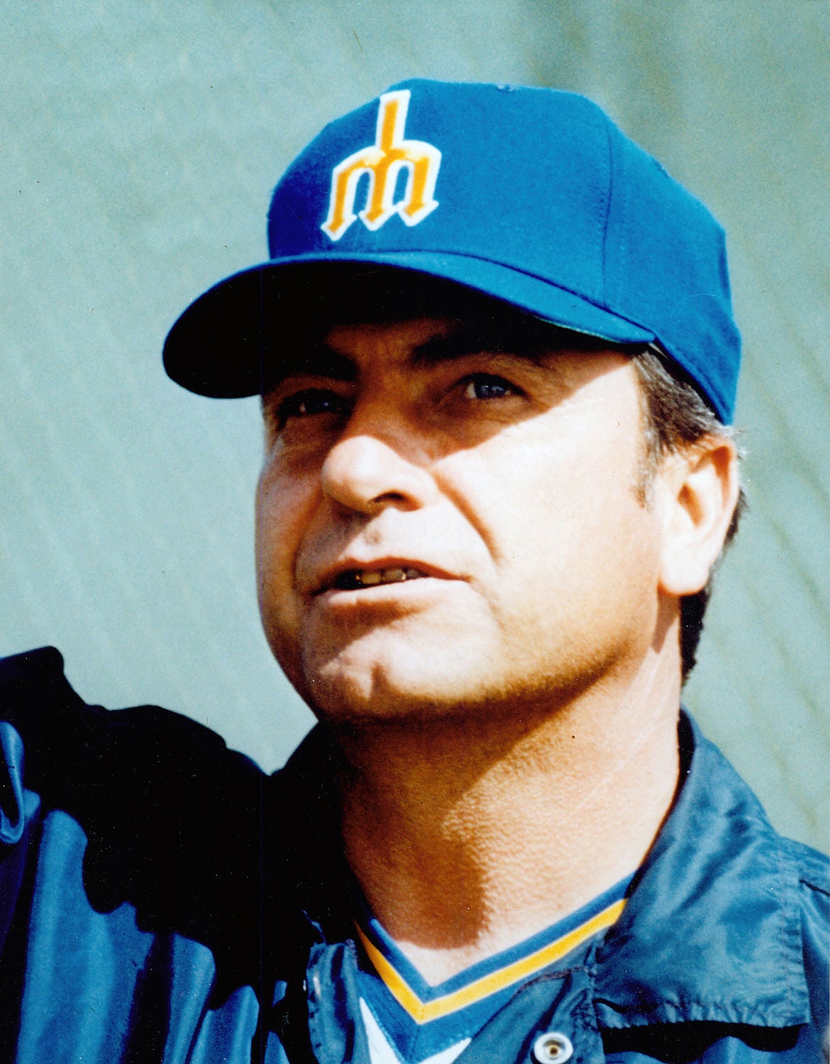 #CardCorner: 1982 Donruss Enrique Romo | Baseball Hall of Fame